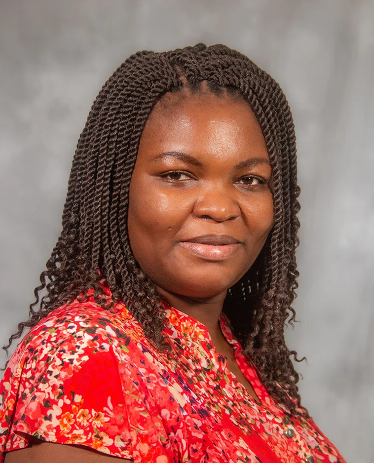 Neema Langa | Scholars Strategy Network